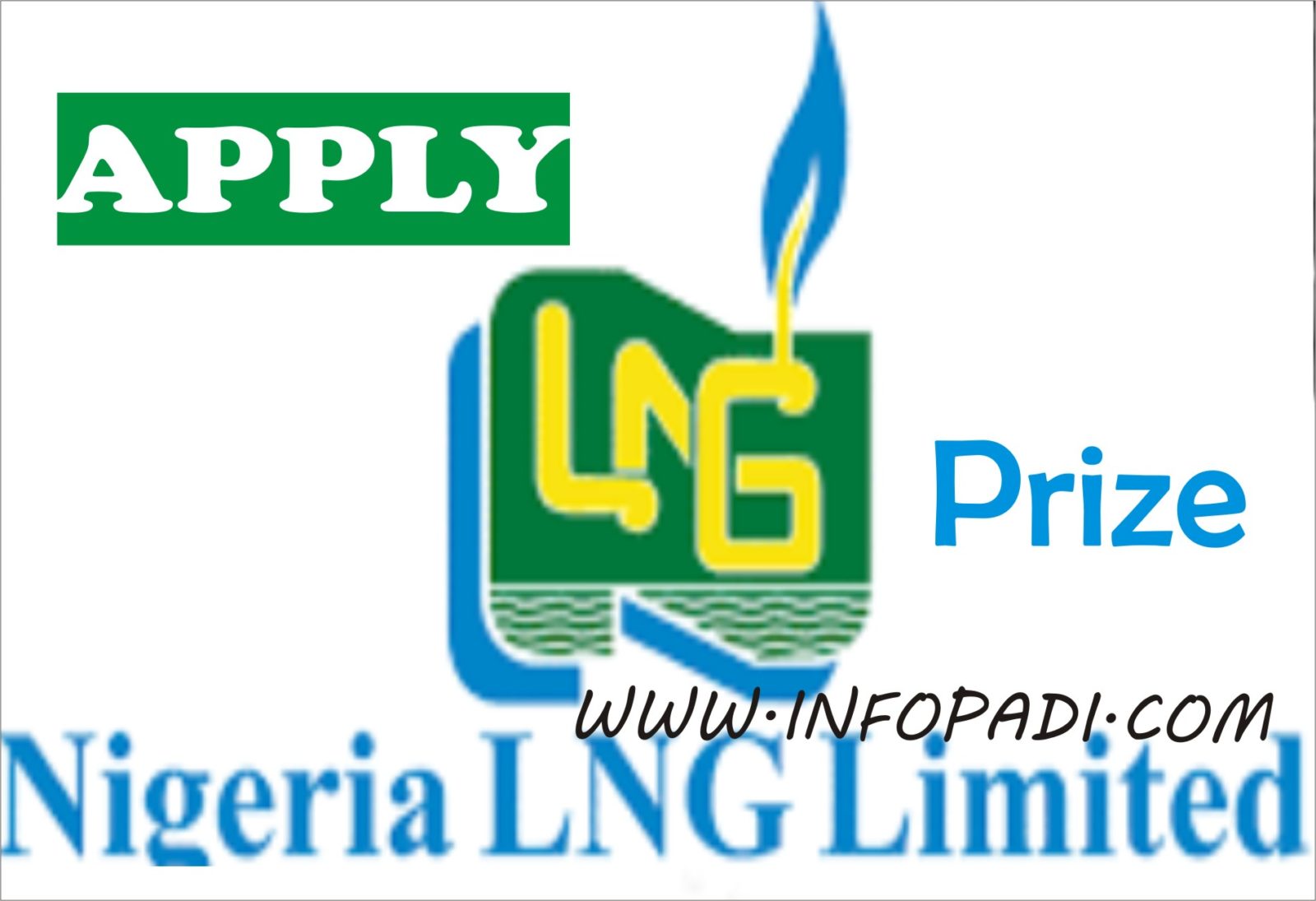 NLNG Ship Management Limited (NSML) Recruitment for Third Officers