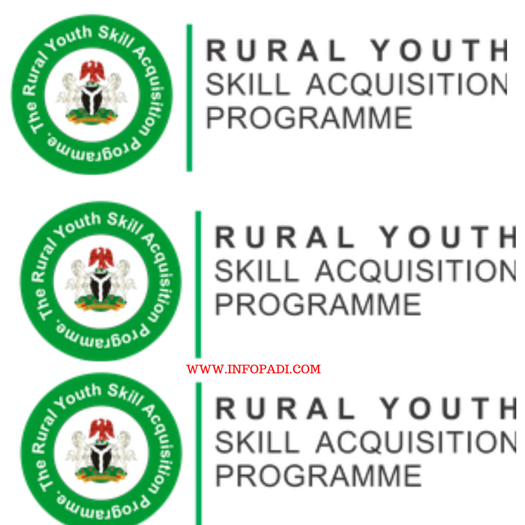 Rural Youth Skill Acquisition Program Application Link