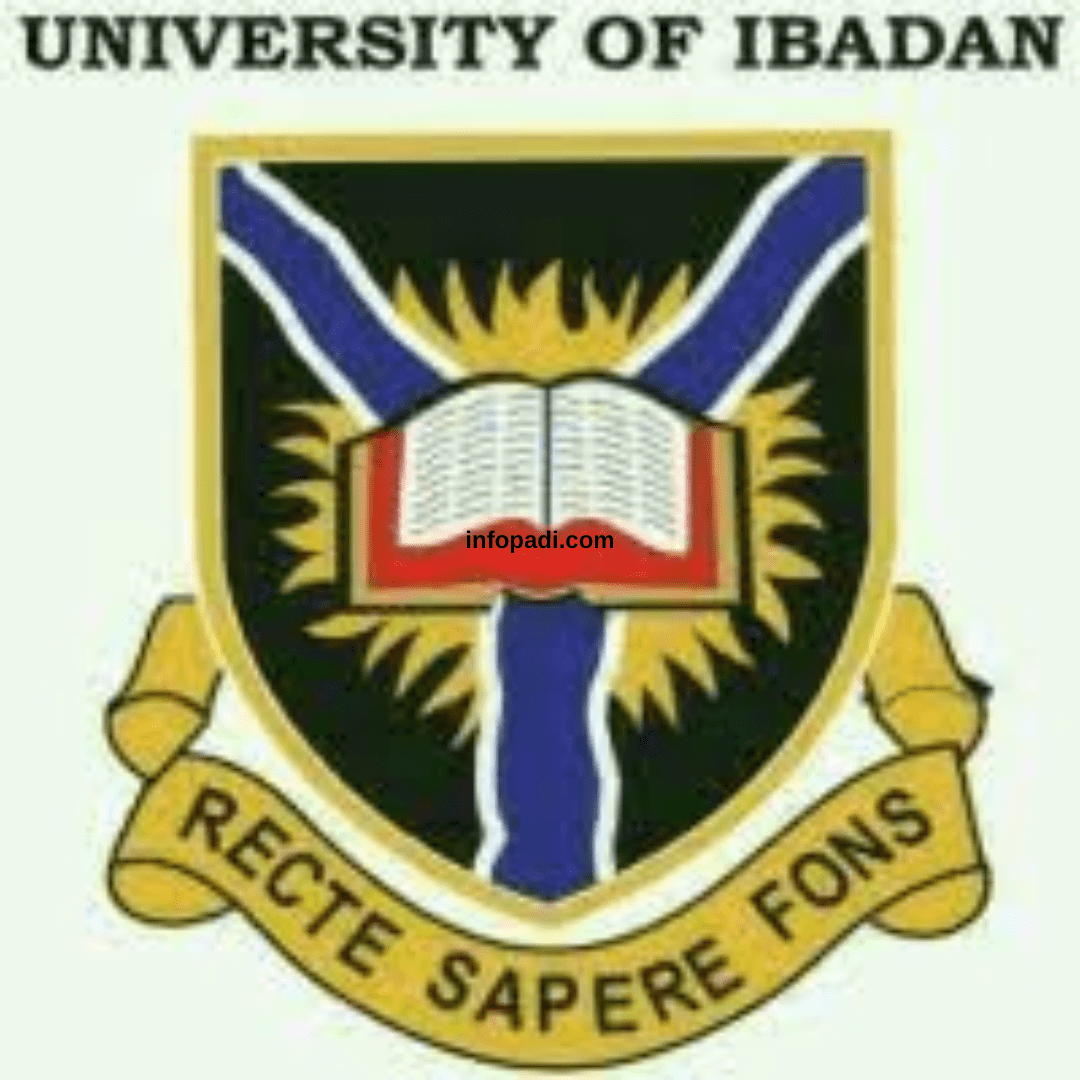 University of Ibadan (UI) Recruitment 2023/2024