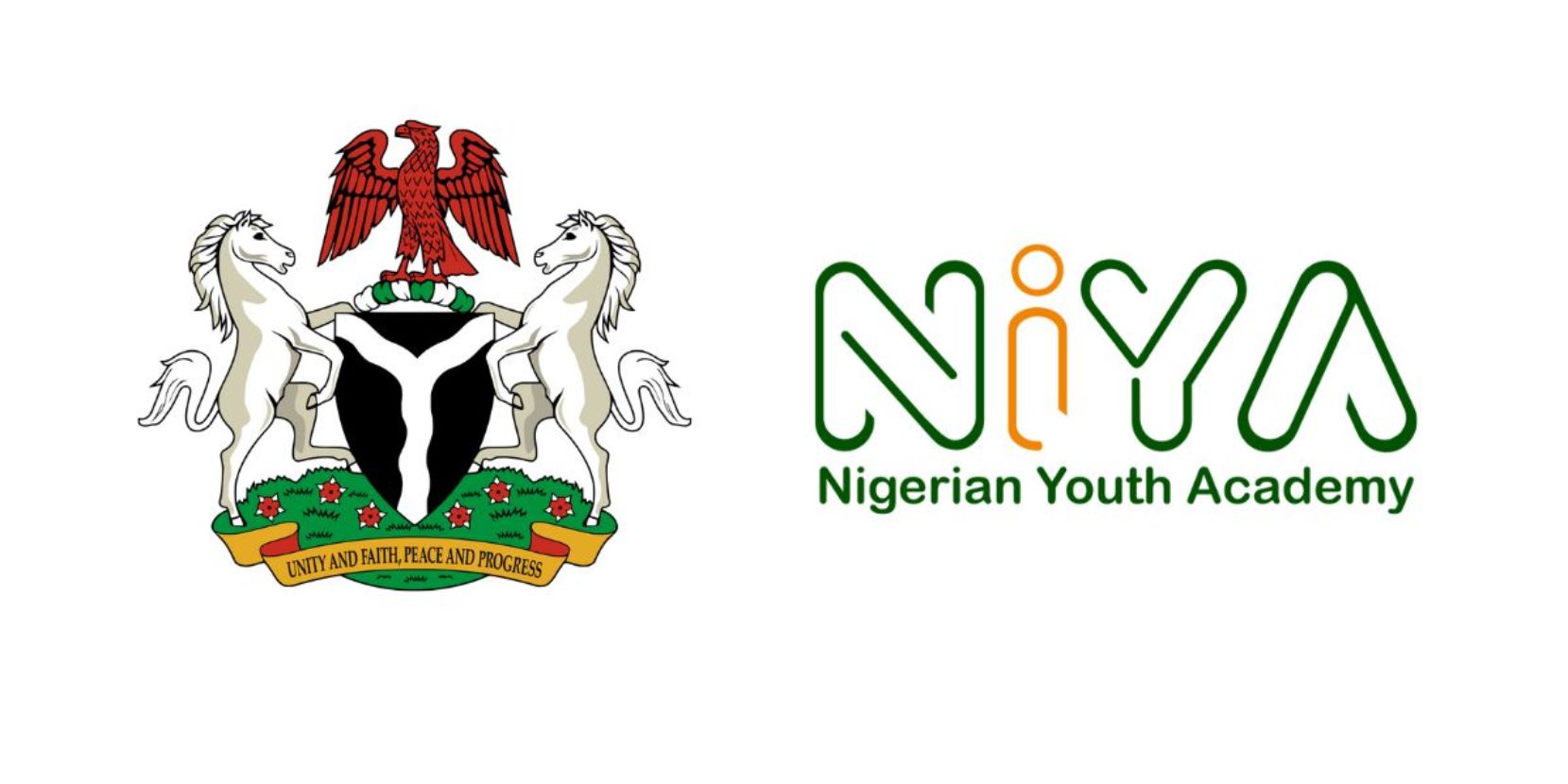 How To Apply To Become NIYA Ambassador: Step-by- Step Guidelines