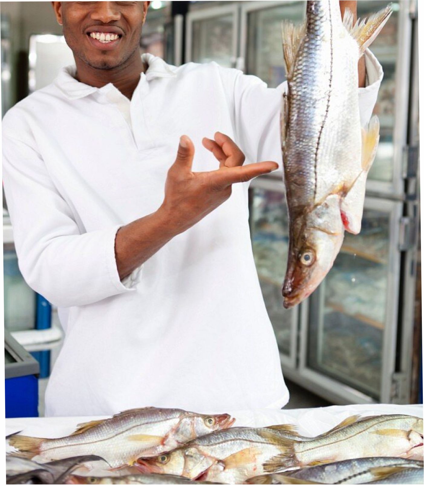 Fishmonger and Seafood Processor Jobs in UK with Visa Sponsorship ...